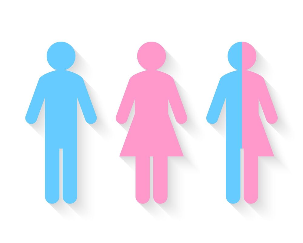 Gender Identification WriterSandy
